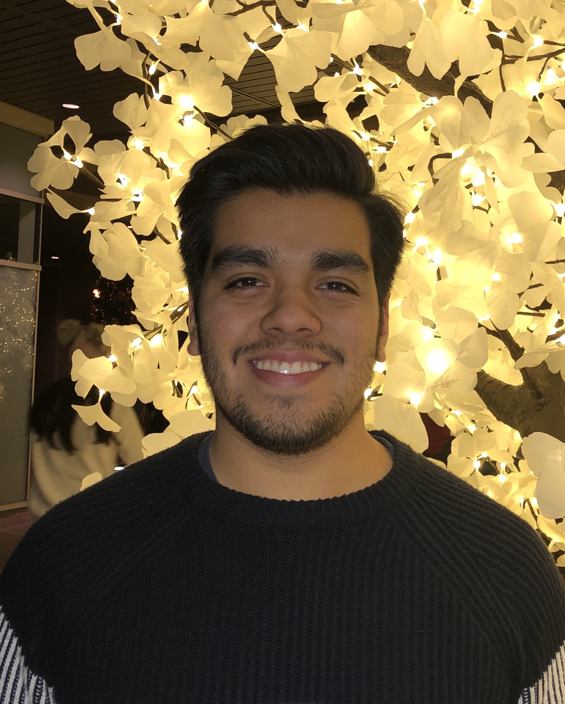 Michael Reza Portfolio